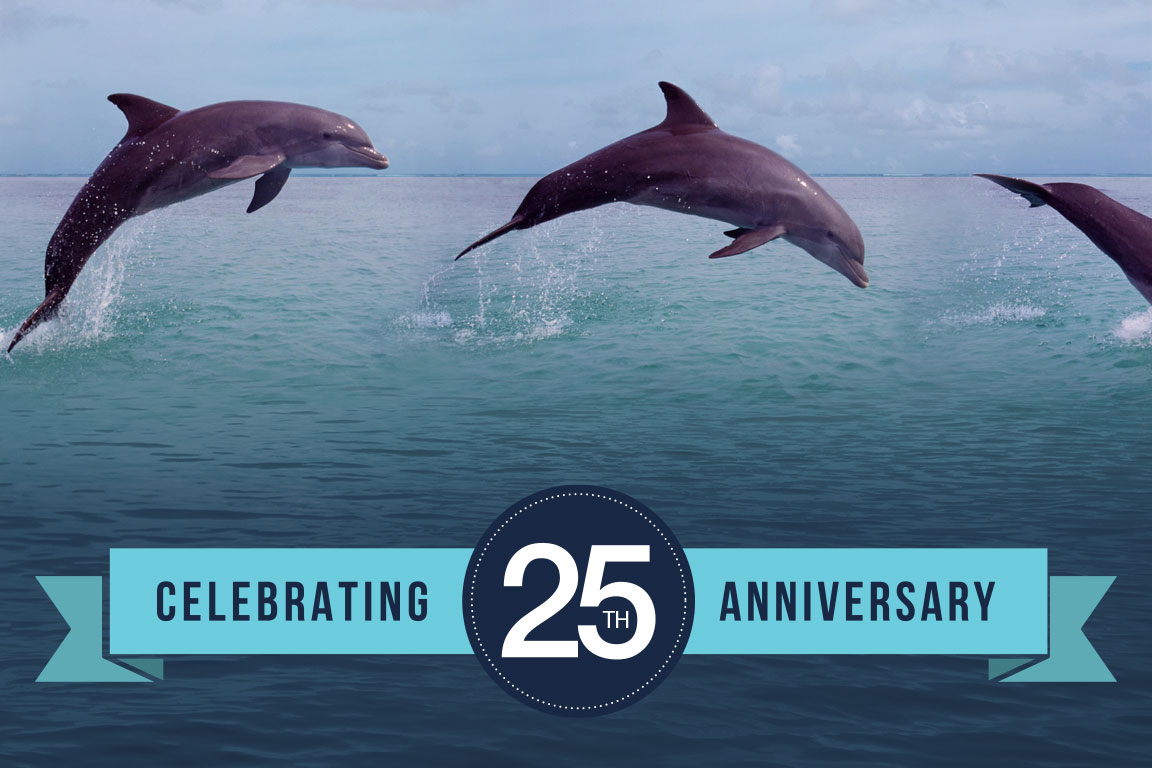 LFLegal at 25 – Law Office of Lainey Feingold